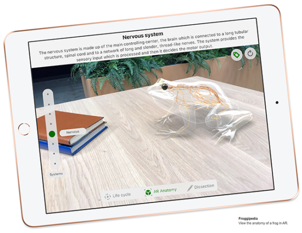 iPad 6th Generation (2018) - Full Information, Tech Specs | iGotOffer