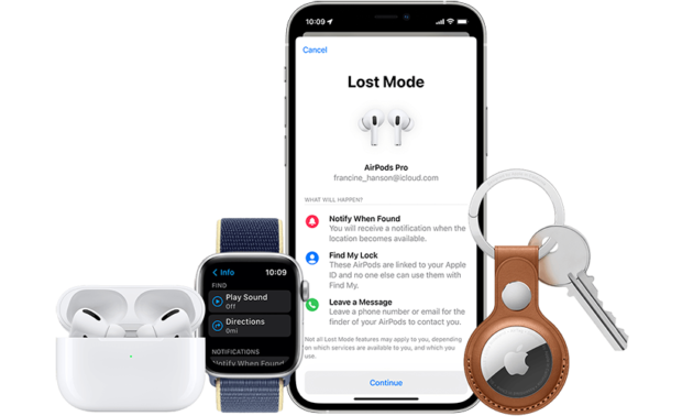 Playing a Detective or How to Search for the Gadget You Can’t Do Without