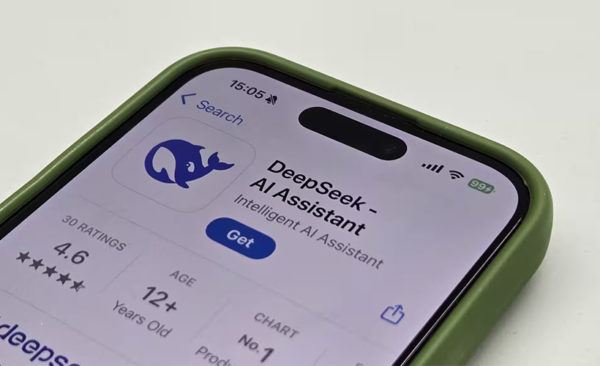Reasoning capabilities: The DeepSeek R1 AI assistant provides detailed ...